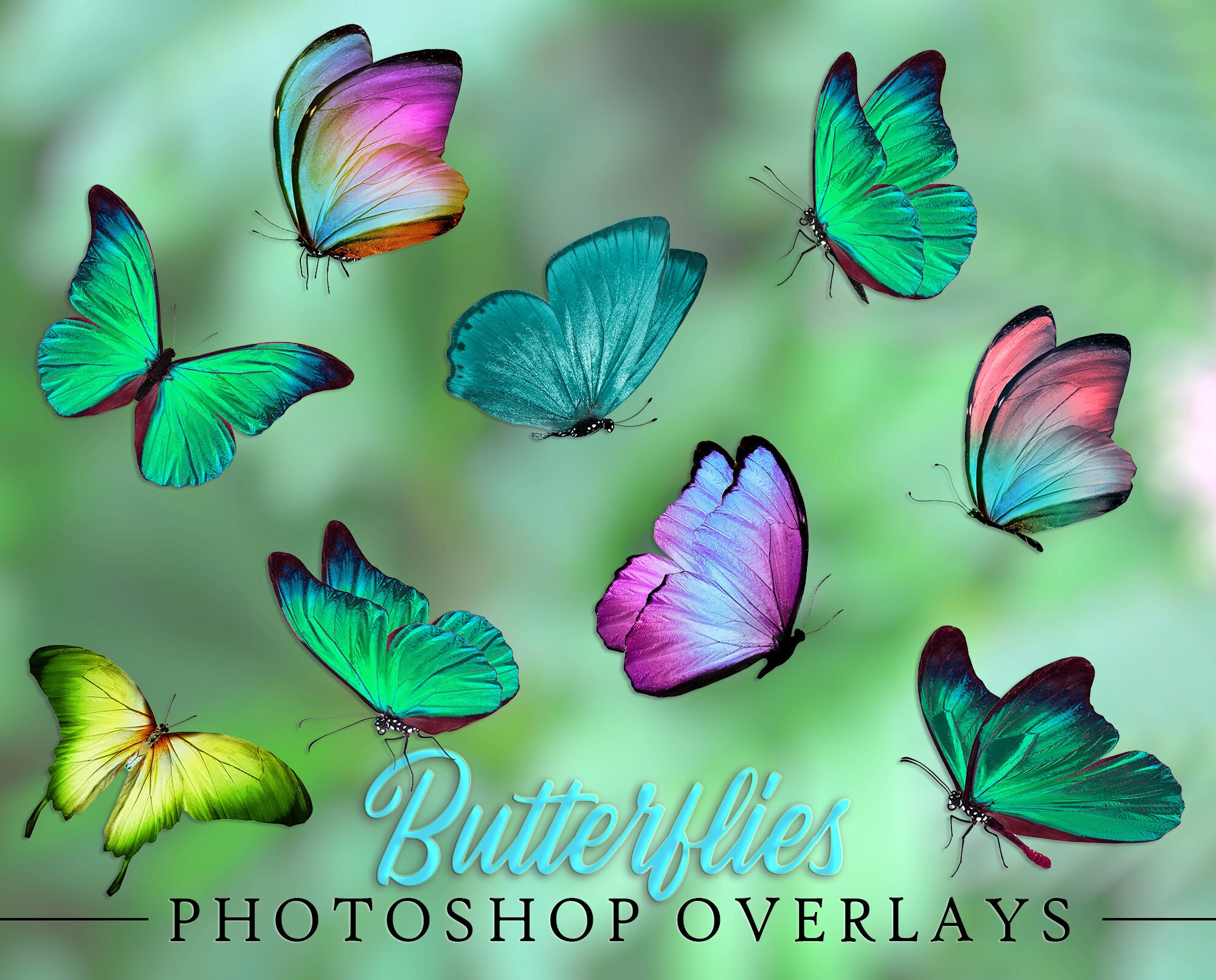 Butterflies Overlay Photoshop Overlays for Photoshop. - Etsy