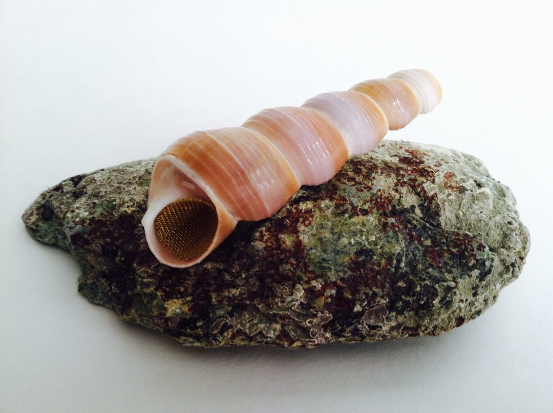 The Purple Nurple by Shellpipe free Pipes With Every Order Shell Pipe ...