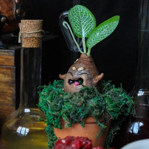Mandrake Screaming Miniature Sculpture, Mandragora Herbology Figurine ...