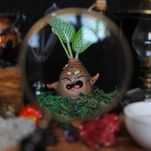 Mandrake Screaming Miniature Sculpture, Mandragora Herbology Figurine ...