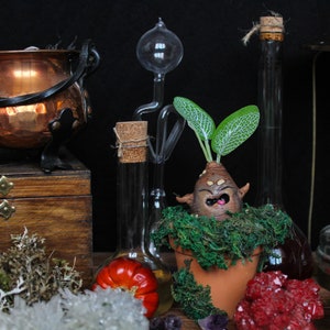 Mandrake Screaming Miniature Sculpture, Mandragora Herbology Figurine ...