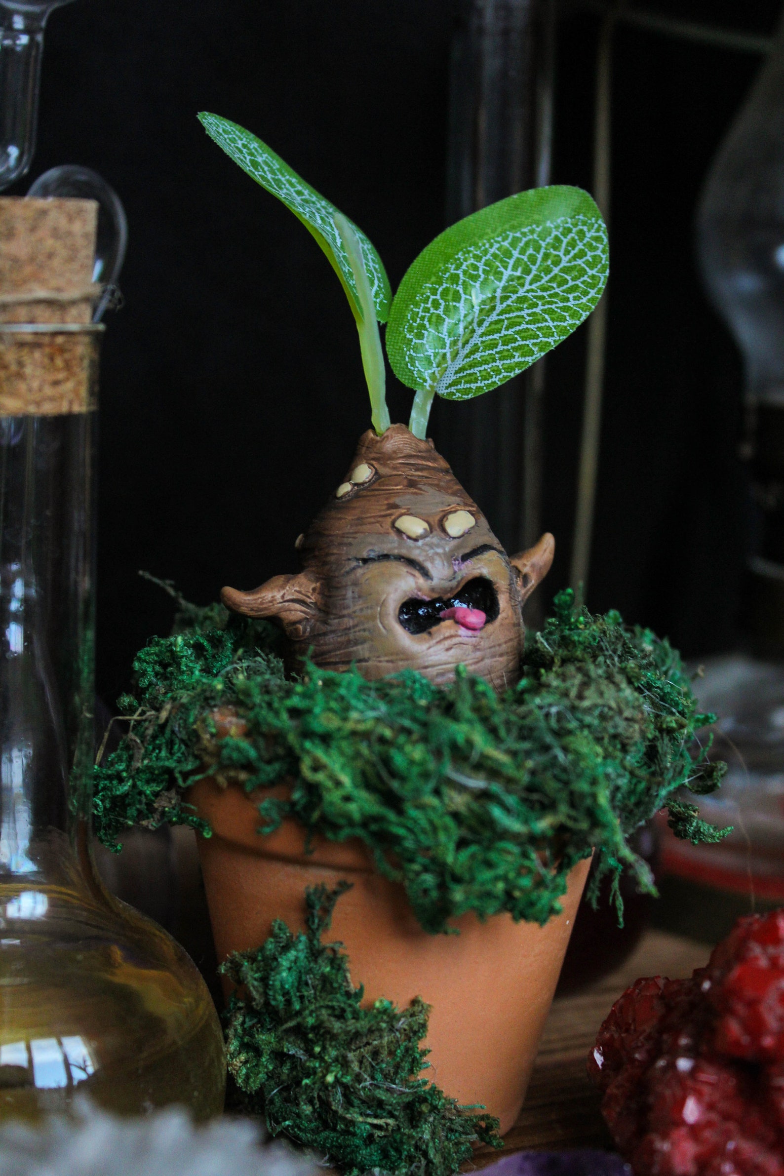 Screaming Mandrake Sculpture, Herbology Figurine, OOAK Polymer Clay ...