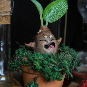 Mandrake Screaming Miniature Sculpture, Mandragora Herbology Figurine ...