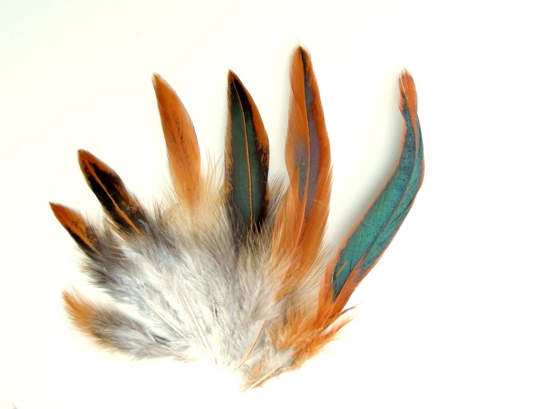 25 Brown Natural Feathers With Green Reflections, Real Feathers Rust ...
