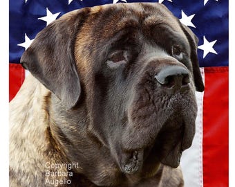 silver brindle mastiff