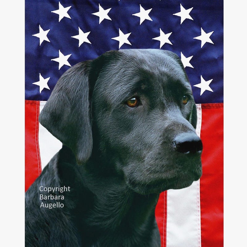 Black Dog House Flag - Etsy