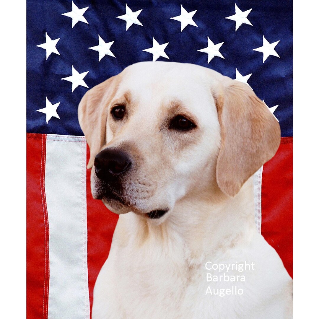 Yellow Lab Patriotic Flag, Yellow Lab Gift, Yellow Lab Art - Etsy