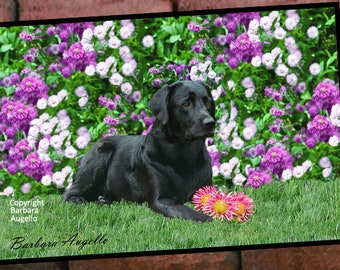 Black Lab Doormat - Etsy