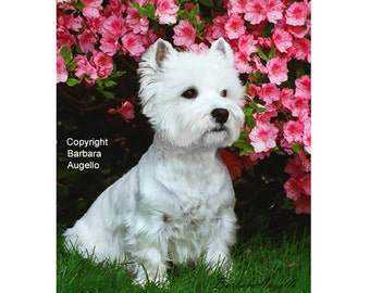 Westie Stained Glass Style Garden & House Banner, Westie Garden Flag ...