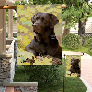 Chocolate Lab Flag, Chocolate Lab Gift, Chocolate Lab Art - Etsy