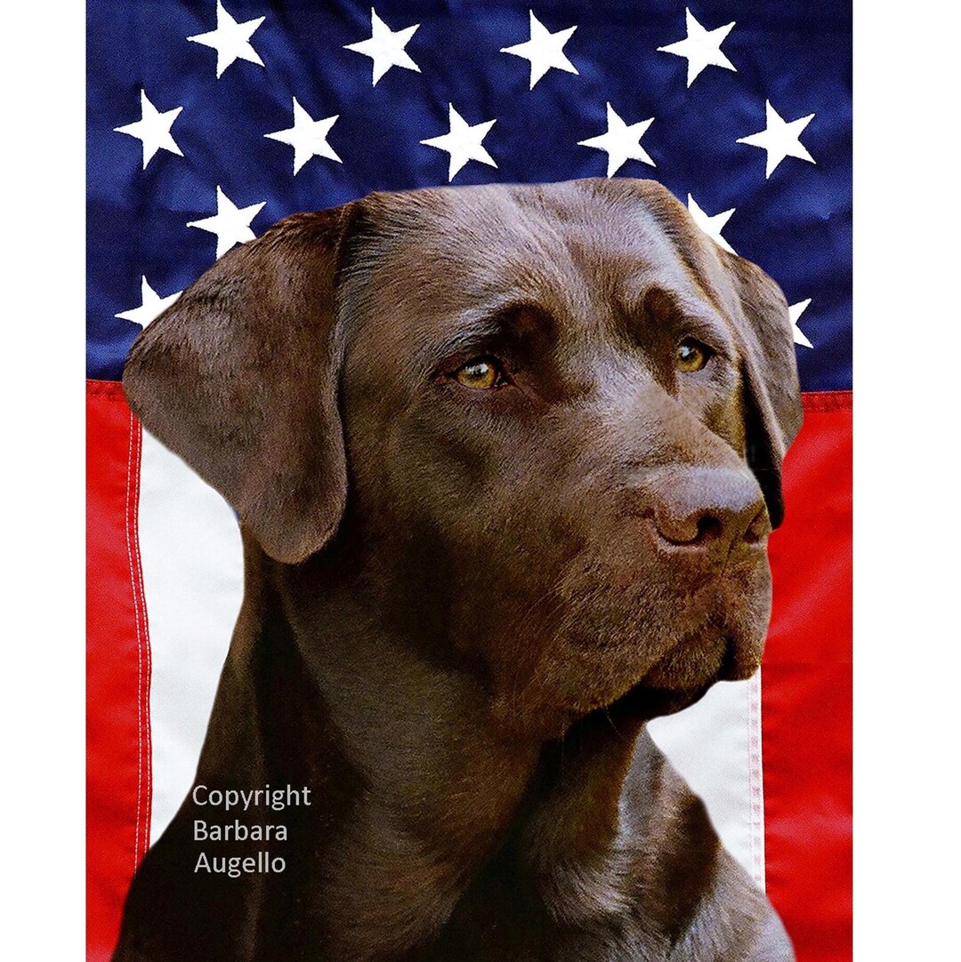 Chocolate Lab Flag, Chocolate Lab American Flag, Chocolate Lab Gift - Etsy