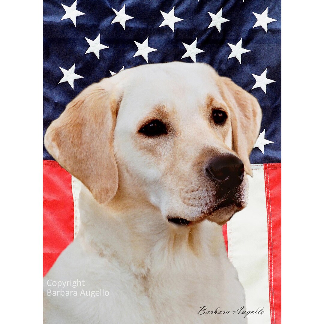 Yellow Lab Patriotic Flag, Yellow Lab Gift, Yellow Lab Art - Etsy