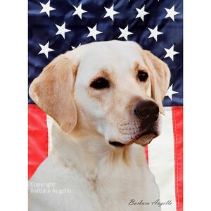 Yellow Lab Patriotic Flag, Yellow Lab Gift - Etsy