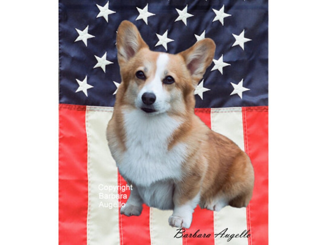 Corgi Flag Corgi Gift Corgi Art Corgi Patriotic Flag Corgi - Etsy