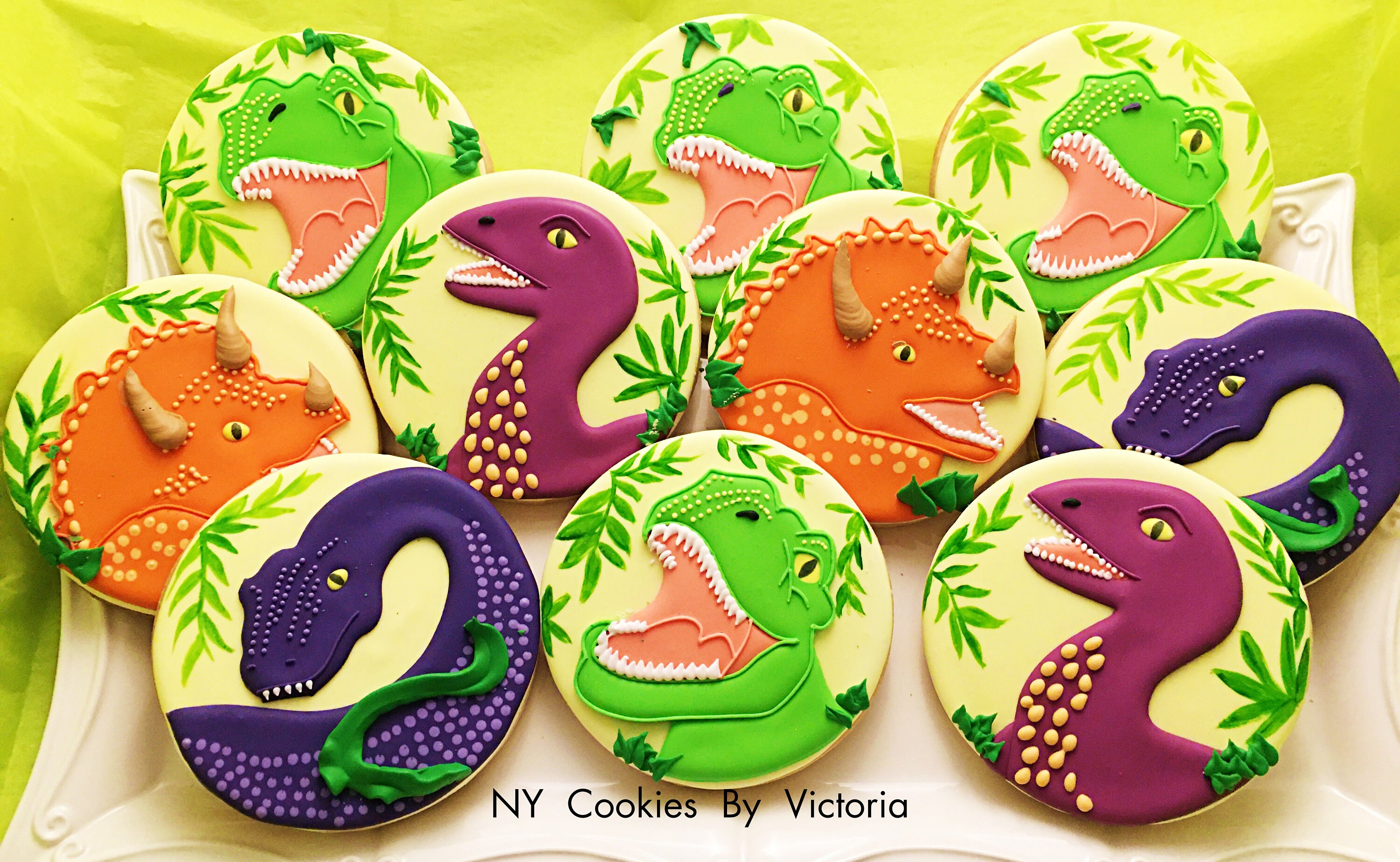 Dinosaur Set Cookies T Rex Cookies Apatosaurus Cookies - Etsy