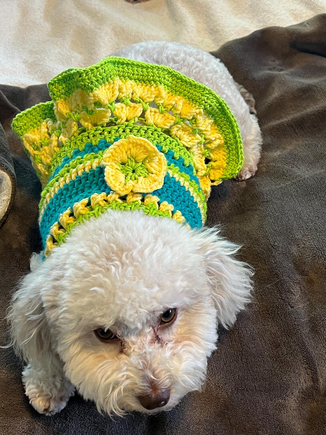 Beautiful and Unique Female Dog Sweater. Fits 20 Pounds Dog. - Etsy