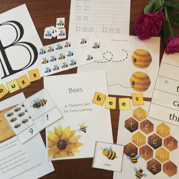 Honey Bee Unit - Etsy