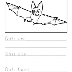 Homeschool Literature Unit Study, Stellaluna Reading Guide, ELA Lesson ...