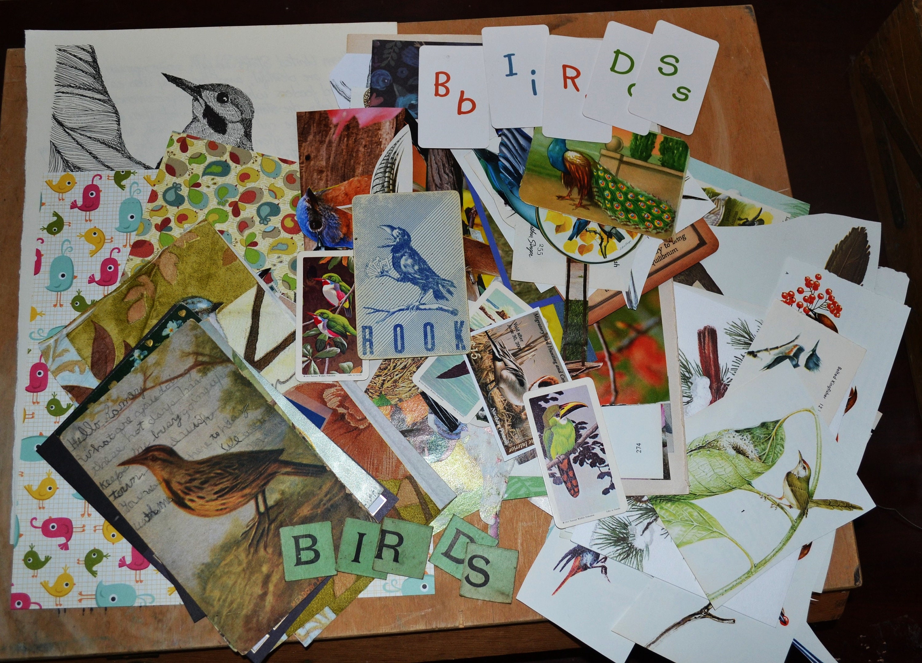 BIRD Theme GRAB BAG Ephemera 60 Items Junk Journaling, Art Journaling ...