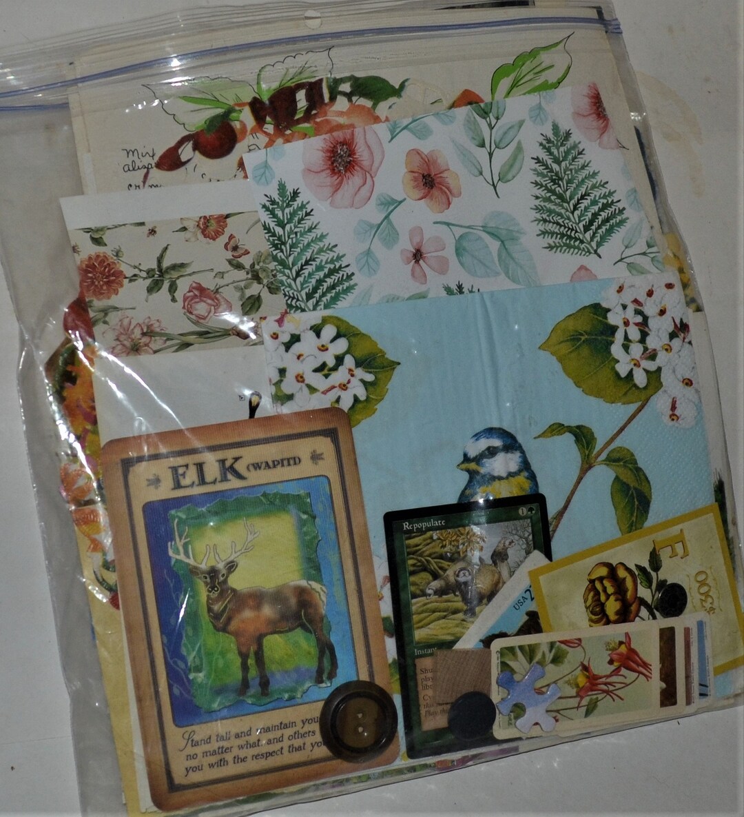 ANIMALS/NATURE Theme Ephemera Pack / Grab Bag for Art, Mixed Media ...