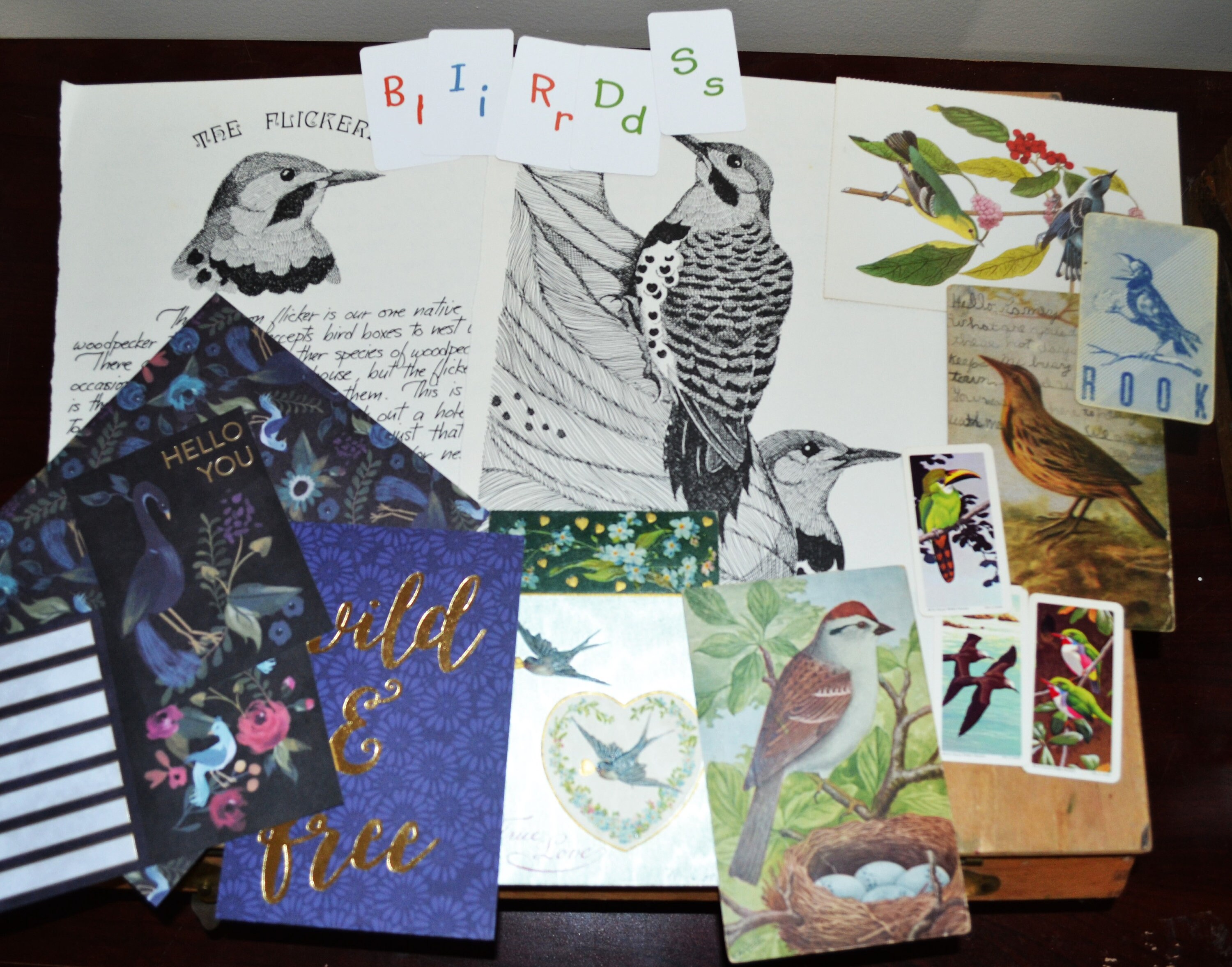 BIRD Theme GRAB BAG Ephemera 60 Items Junk Journaling, Art Journaling ...