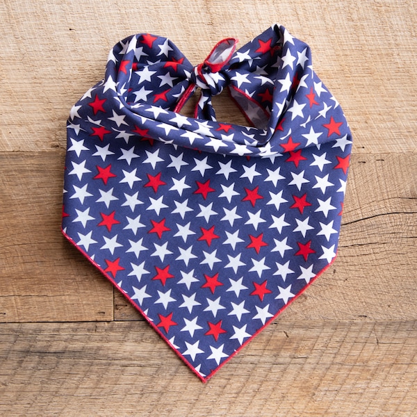 Red and Blue Bandana - Etsy