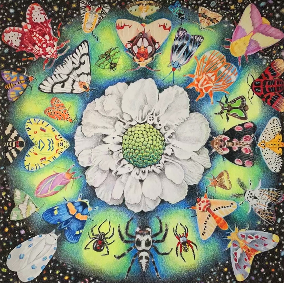 Surreal Art Print, Insect Painting That Will Add Flare to Any Room ...