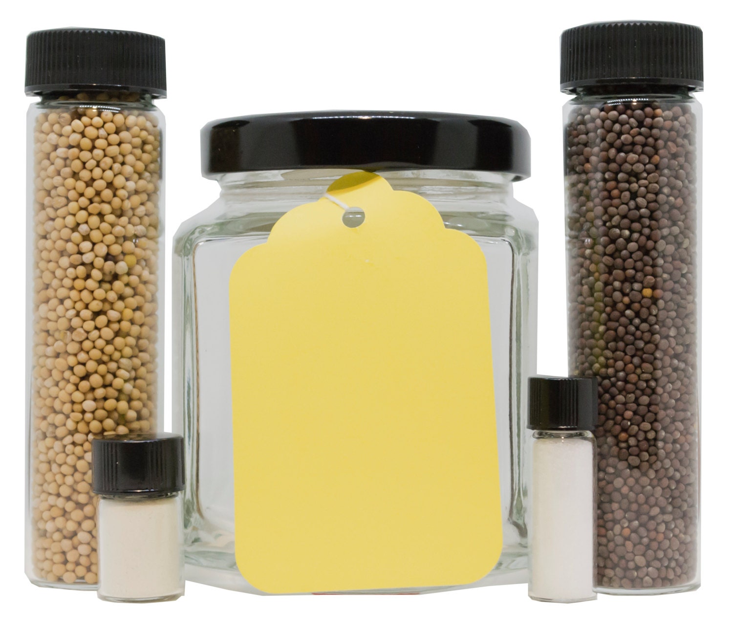 Make Your Own Mustard Kit - Etsy