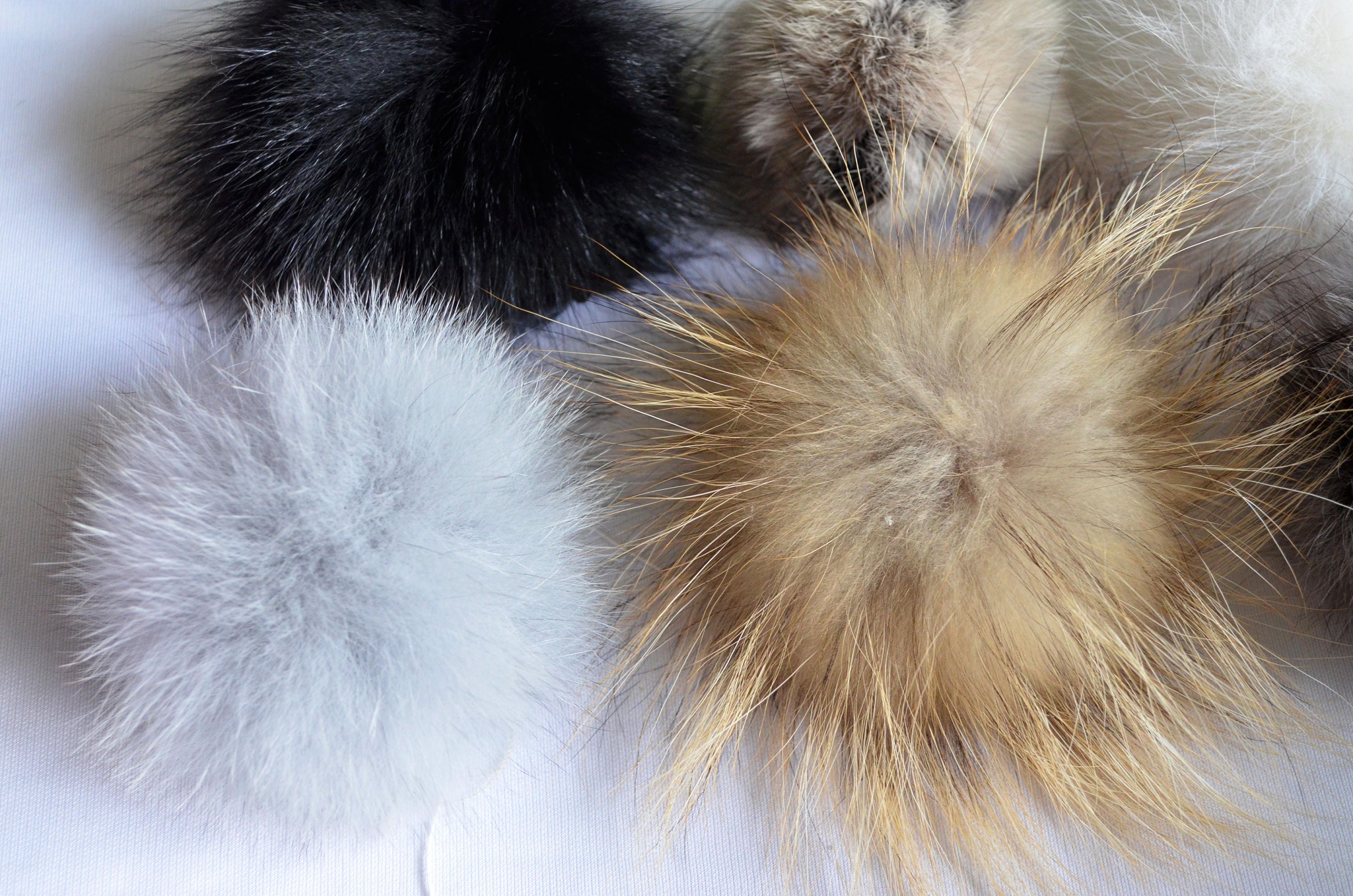 Set of 6 real fur pom poms Genuine Raccoon Arctic fox Rabbit | Etsy