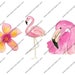 Hand Painted Watercolor Pink Flamingo Clipart, INSTANT DOWNLOAD ...