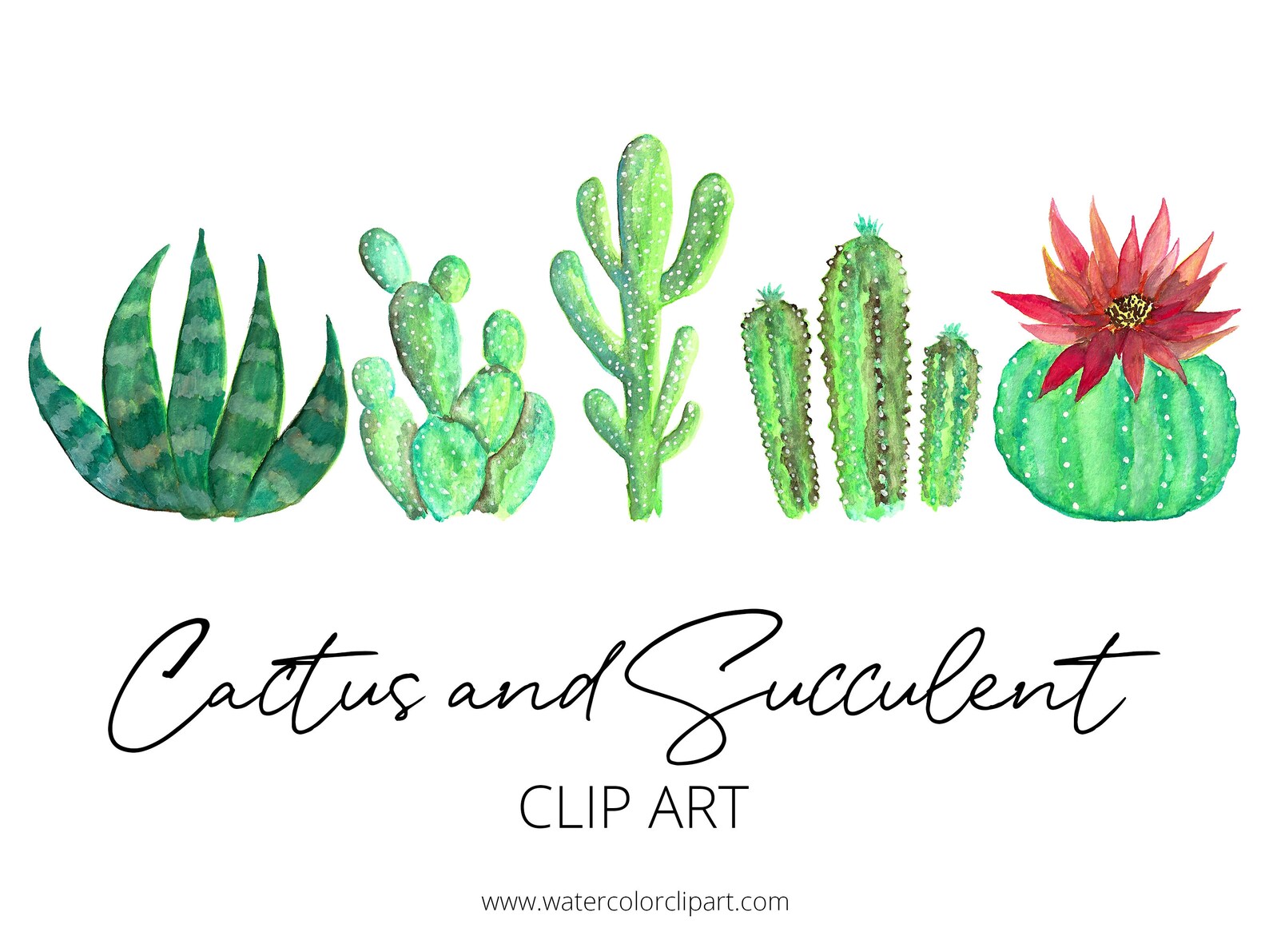 Watercolor Cactus Clip Art, Custom Invitations Clip Art, Digital Cacti ...