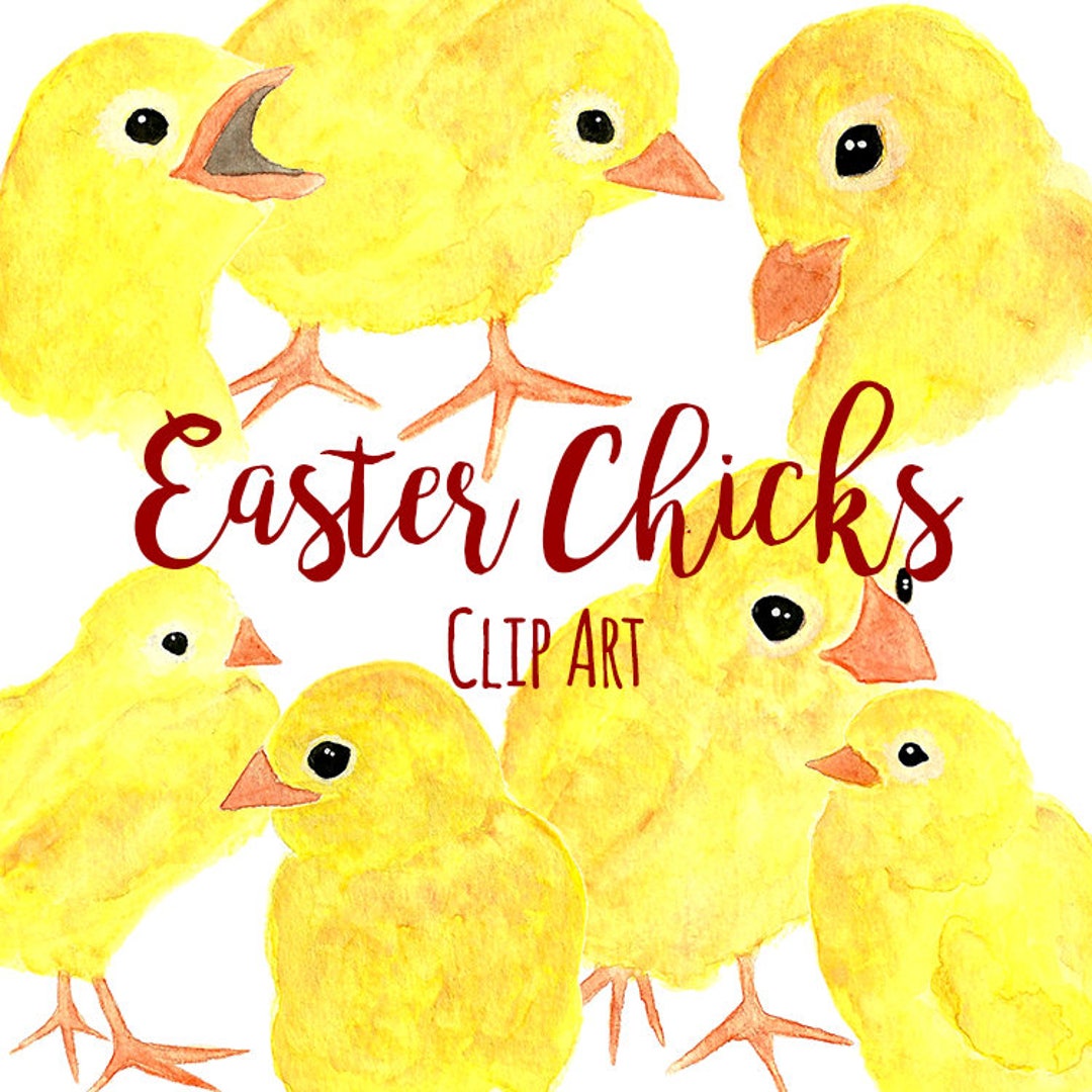 Watercolor Easter Chicks Clipart Png COMMERCIAL USE, Baby Chicks ...