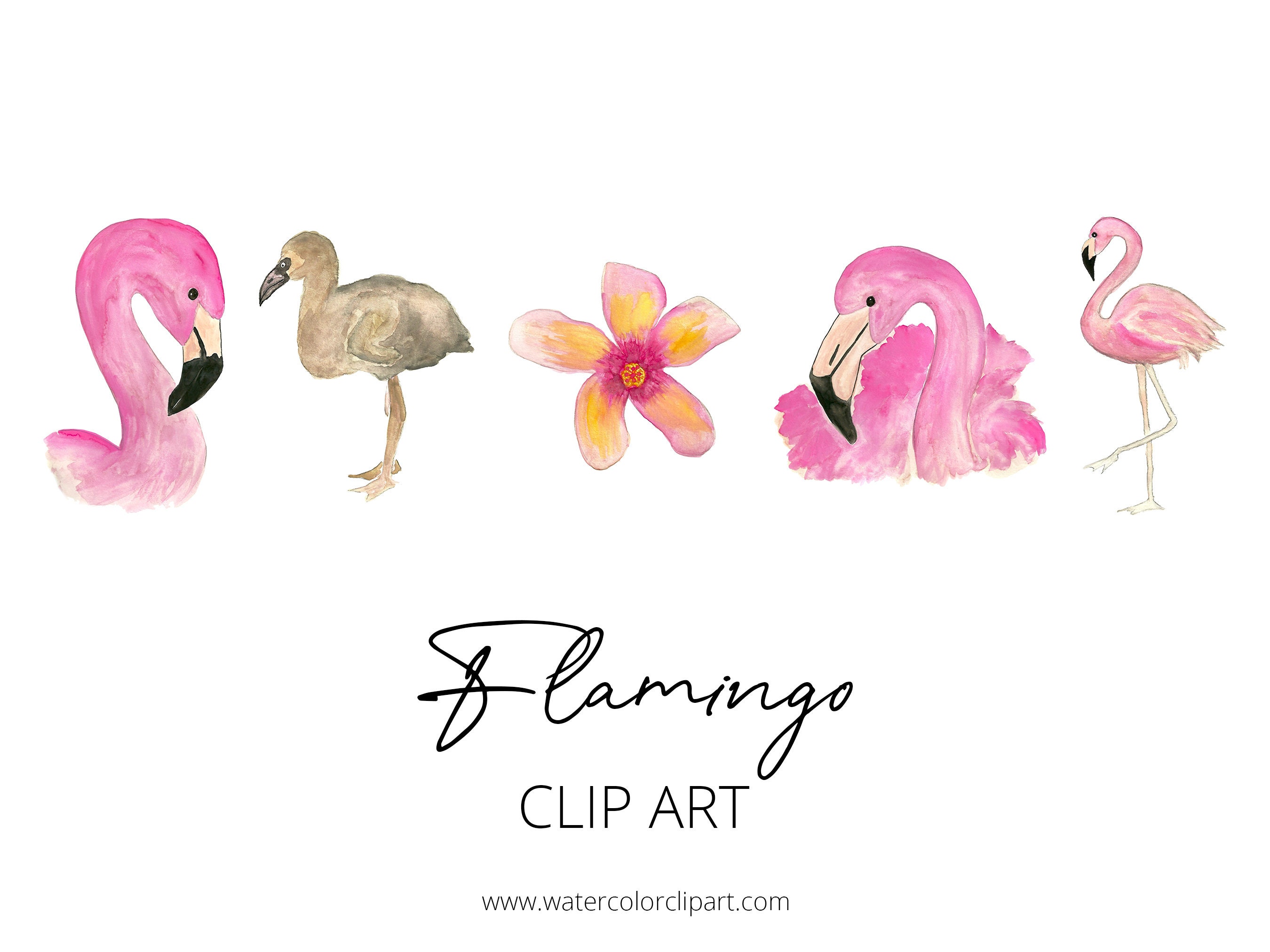 Hand Painted Watercolor Pink Flamingo Clipart, INSTANT DOWNLOAD ...
