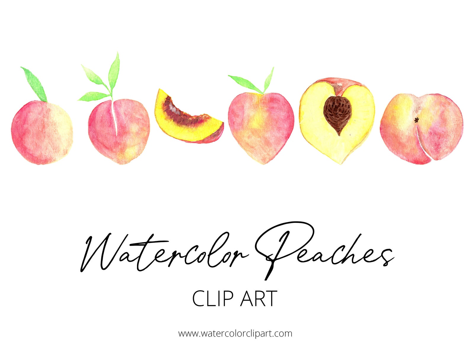 Watercolor Peaches Fruit Clip Art, Whole Peach Clip Art, Fruit Clip Art ...