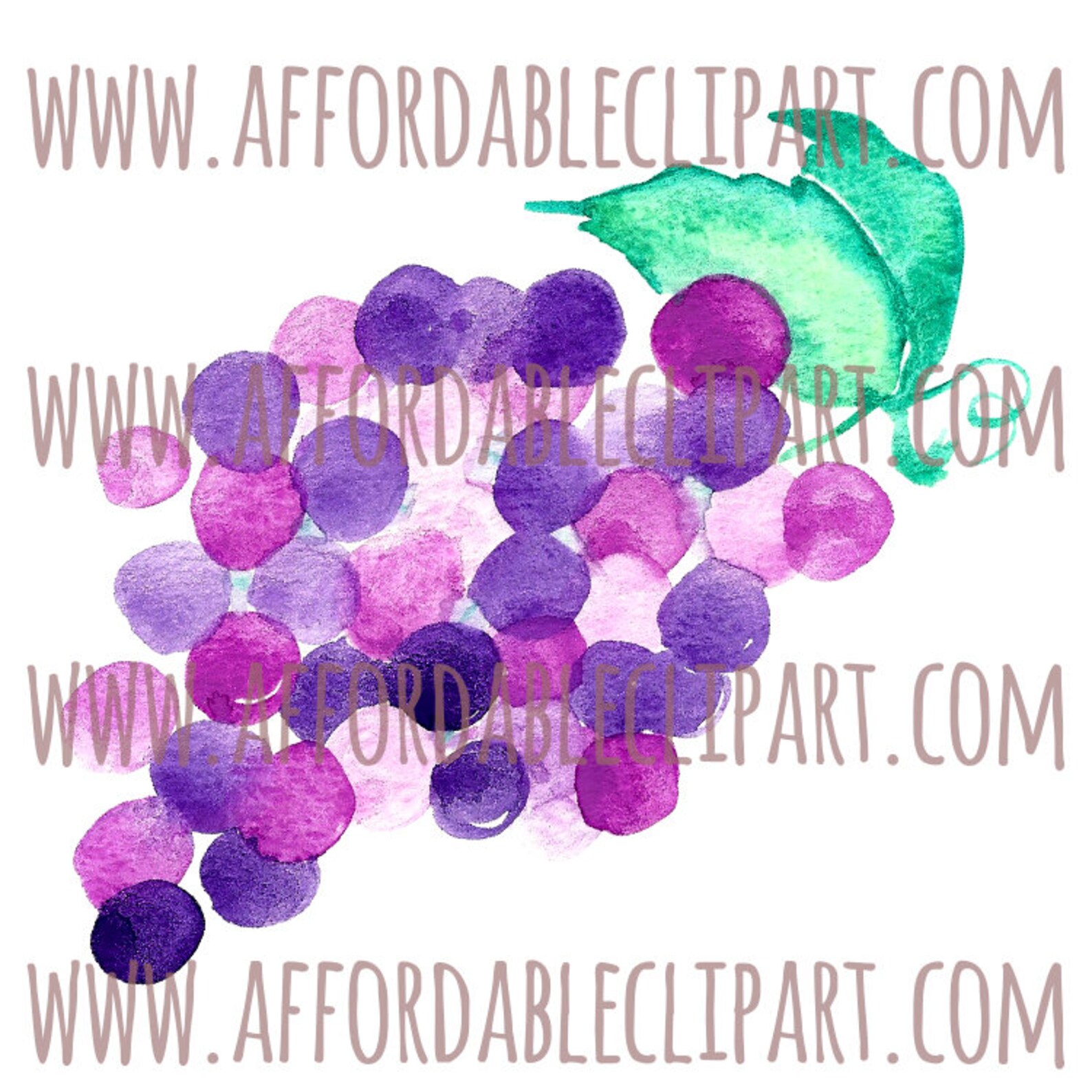 Watercolor Grapes Bunch Clip Art Purple Grapes Clip Art - Etsy