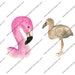 Hand Painted Watercolor Pink Flamingo Clipart, INSTANT DOWNLOAD ...