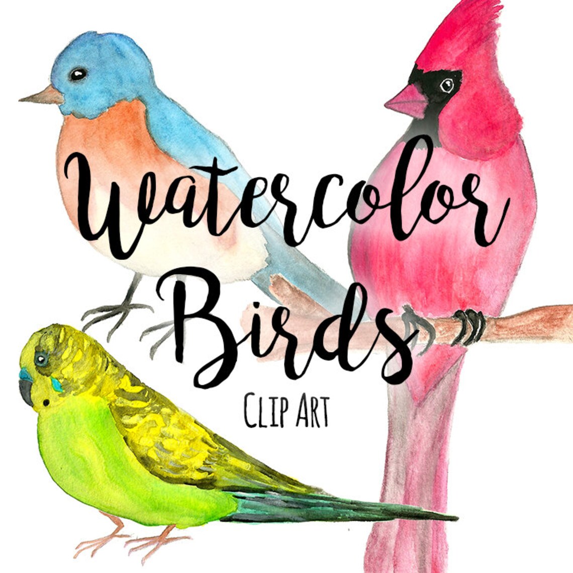 Hand Painted Watercolor Birds Clipart PNG INSTANT DOWNLOAD - Etsy