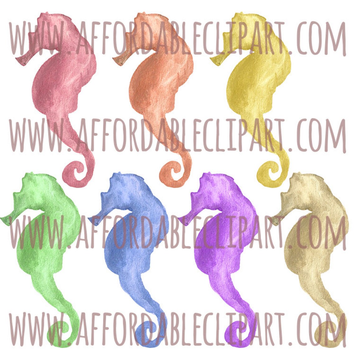 Hand Painted Rainbow Seahorse Clip Art, Watercolor Seahorses, INSTANT ...