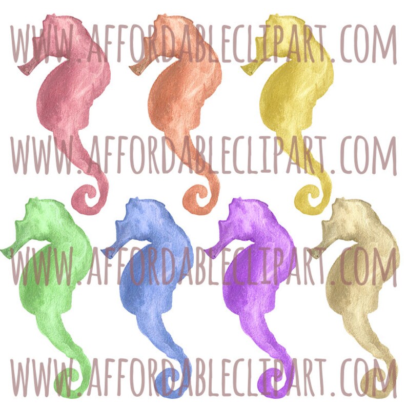 Hand Painted Rainbow Seahorse Clip Art, Watercolor Seahorses, INSTANT ...