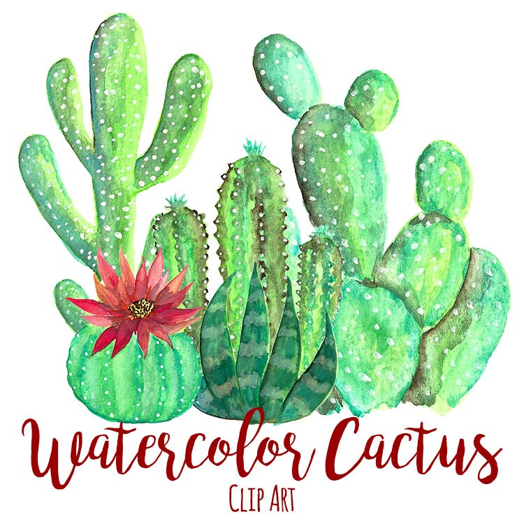 Watercolor Cactus Clip Art Custom Invitations Clip Art | Etsy