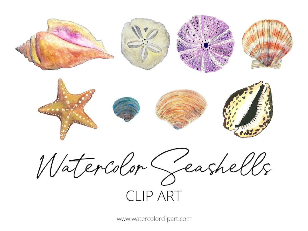 Handpainted Watercolor Seashell Clip Art, Starfish Clip Art, Watercolor ...