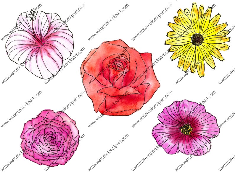 Watercolor Floral Clip Art Commercial Use Watercolor Flower - Etsy