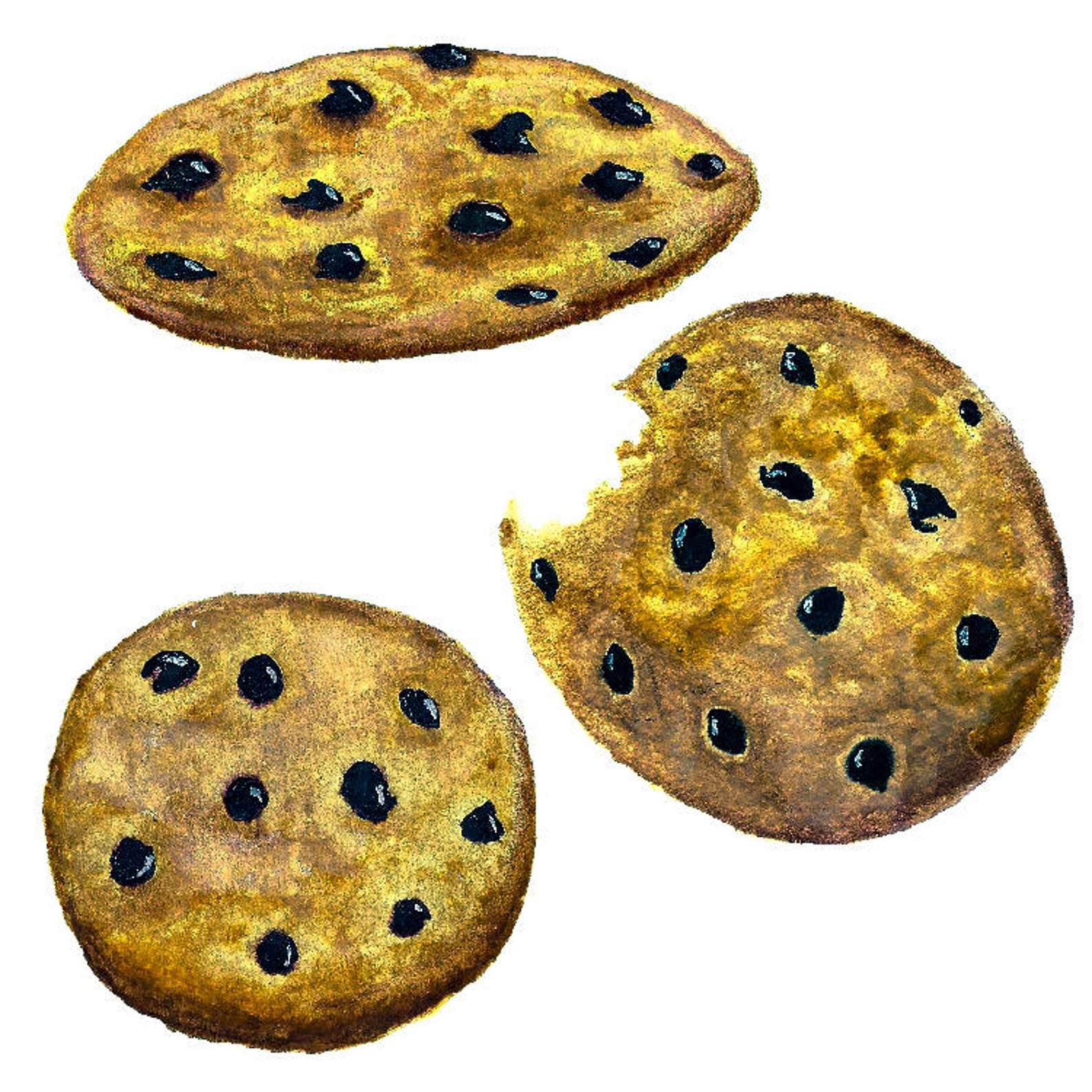 Chocolate Chip Cookies Clip Art Baking Clip Art Watercolor - Etsy