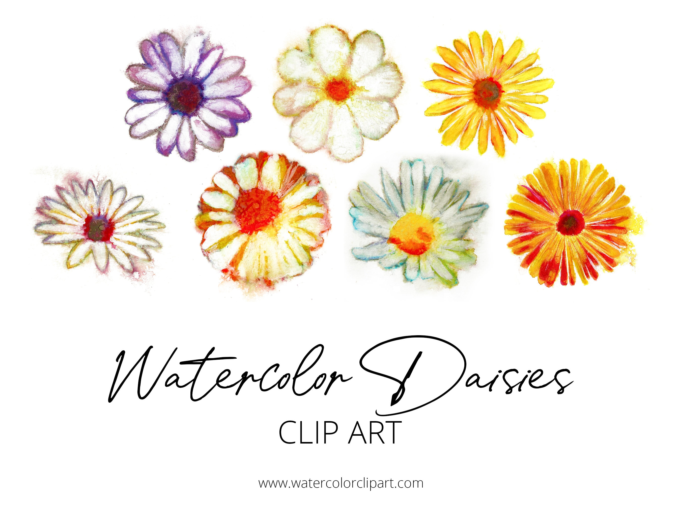 Watercolor Daisy Clip Art, Floral Clip Art, Watercolor Clip Art ...