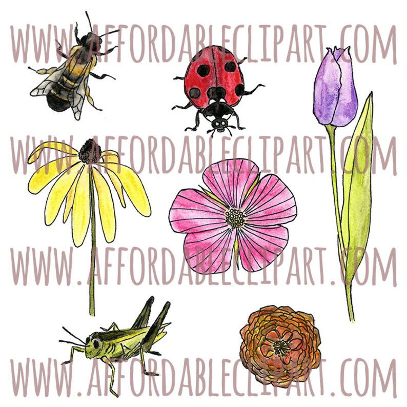 Watercolor Flower Clipart, Watercolor Clip Art Bundles, Digital Clipart ...