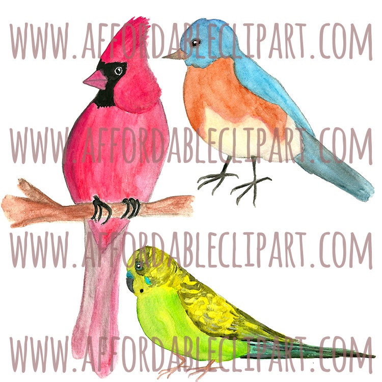 Hand Painted Watercolor Birds Clipart PNG INSTANT DOWNLOAD - Etsy