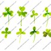 Lucky Clovers and Shamrocks Clip Art, Shamrock Clip Art, St. Patrick's ...