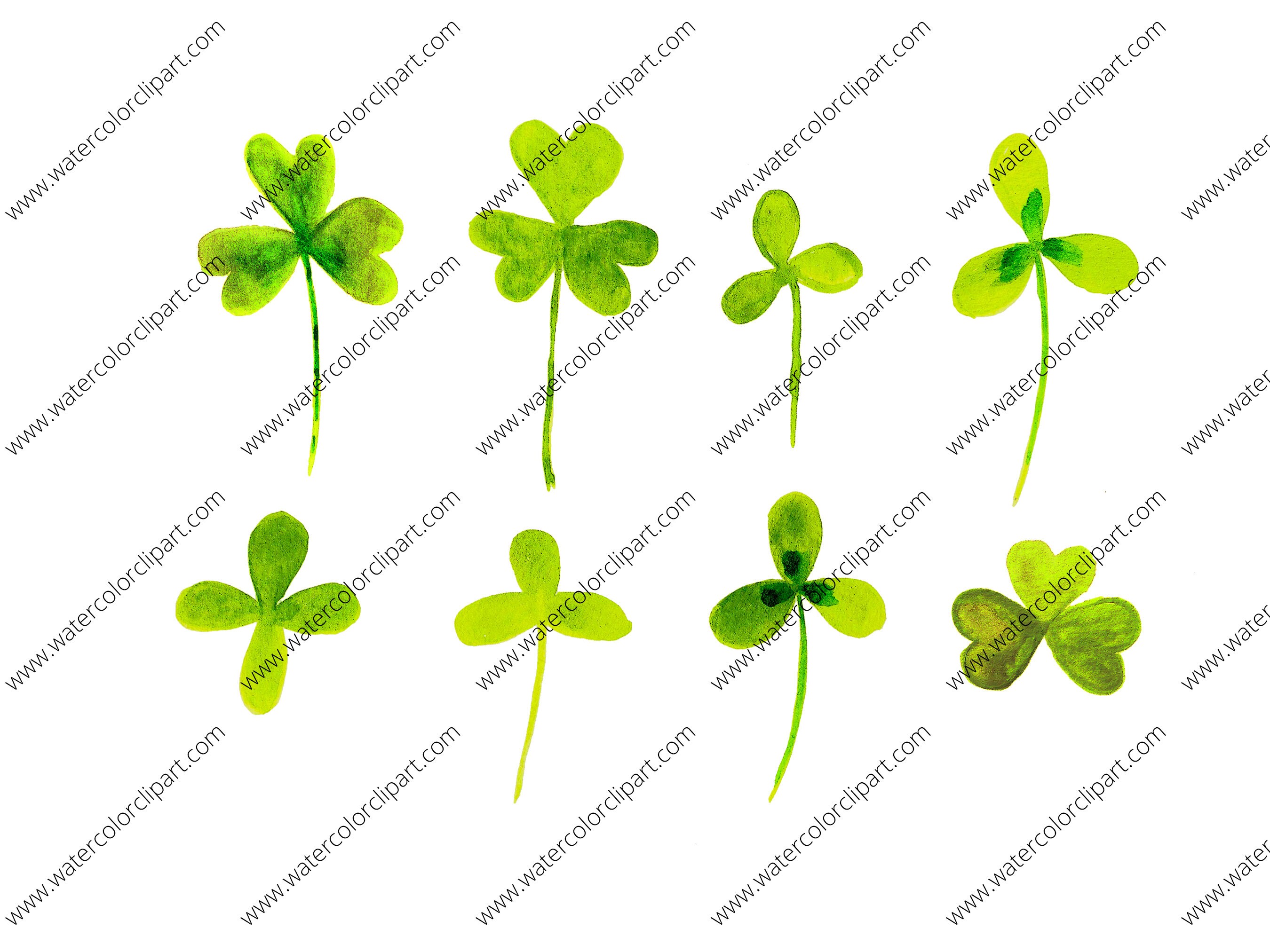 Lucky Clovers and Shamrocks Clip Art, Shamrock Clip Art, St. Patrick's ...