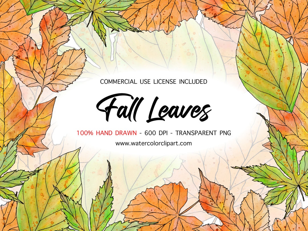Watercolor Fall Leaves Clip Art Images for Back to School, Thanksgiving ...