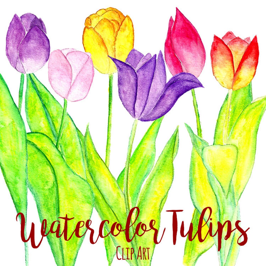 Watercolor Tulips Clip Art, Custom Invitations Clip Art, Digital ...